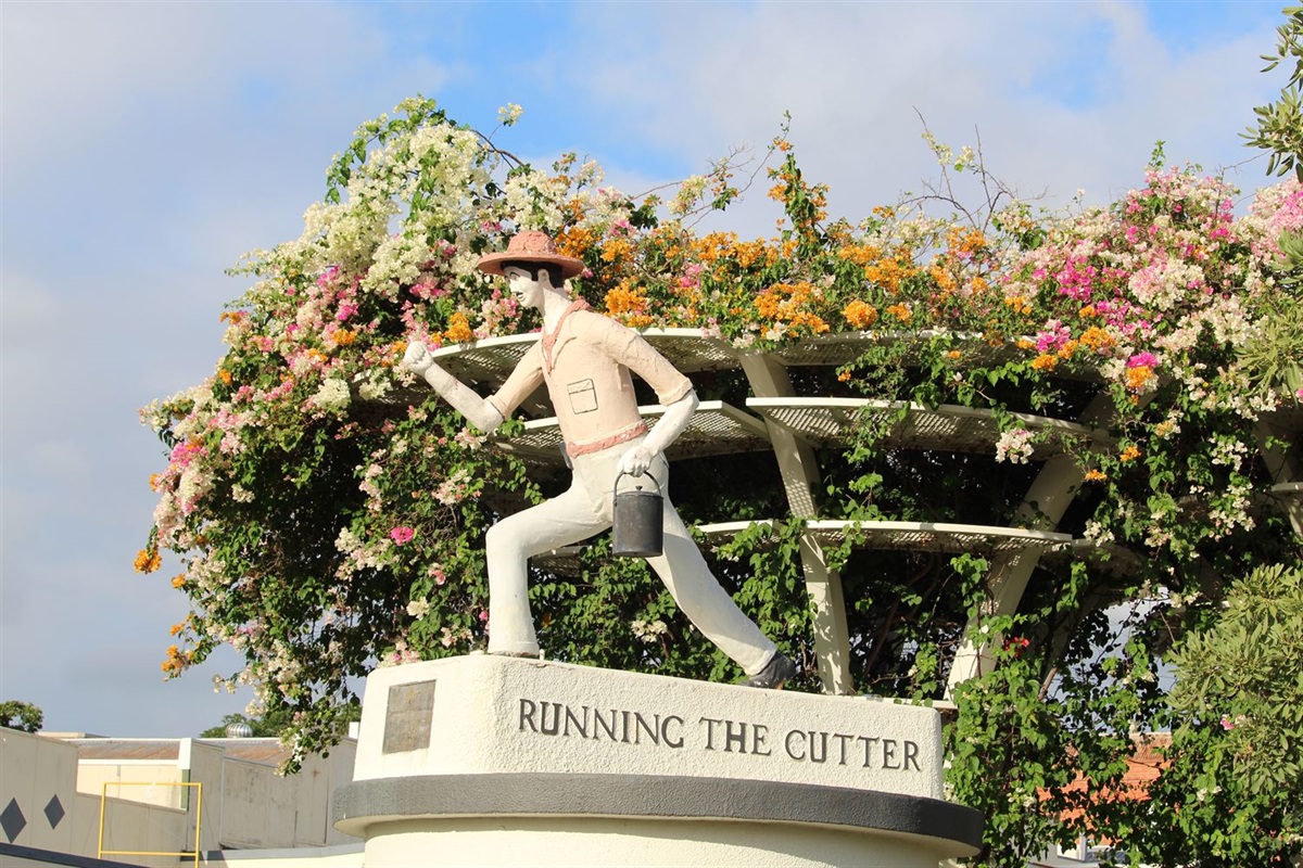 The Running the Cutter Statue Mount Morgan